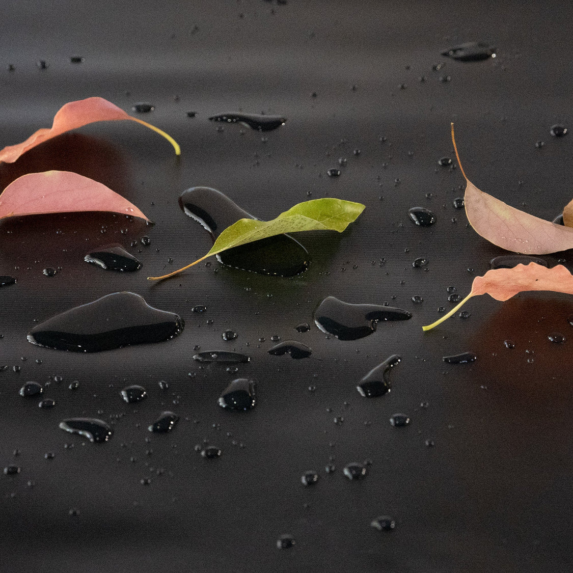 AWNLUX RV Slide Topper Awning - RV Slide Topper - 22 Size & 2 Color ...